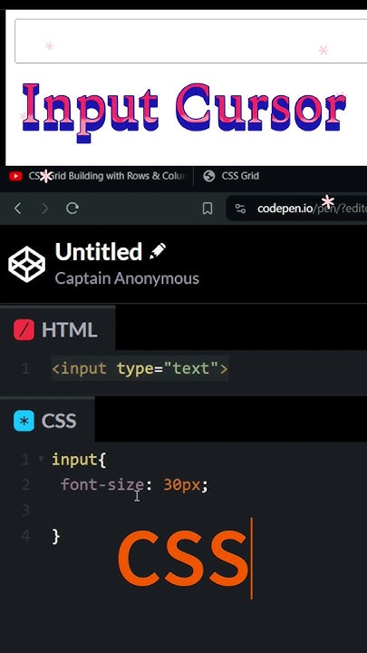 🤩 CSS Input Cursor Change Color #akshdesai #webdesign #css - YouTube