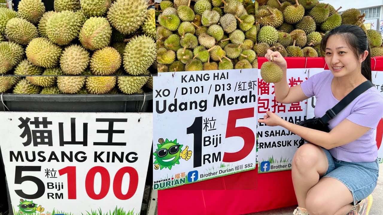 Durian Murah , Musang king,Udang Merah, Duri Hitam (pj ss2 durian - YouTube