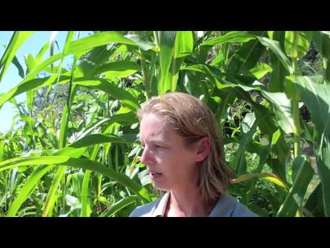 Kathy Noteboom~On Community & The Future - YouTube