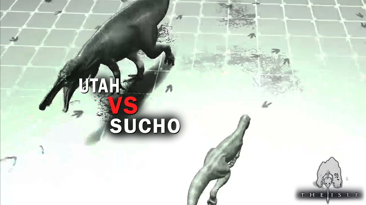 Utah Vs Sucho || Practice - YouTube