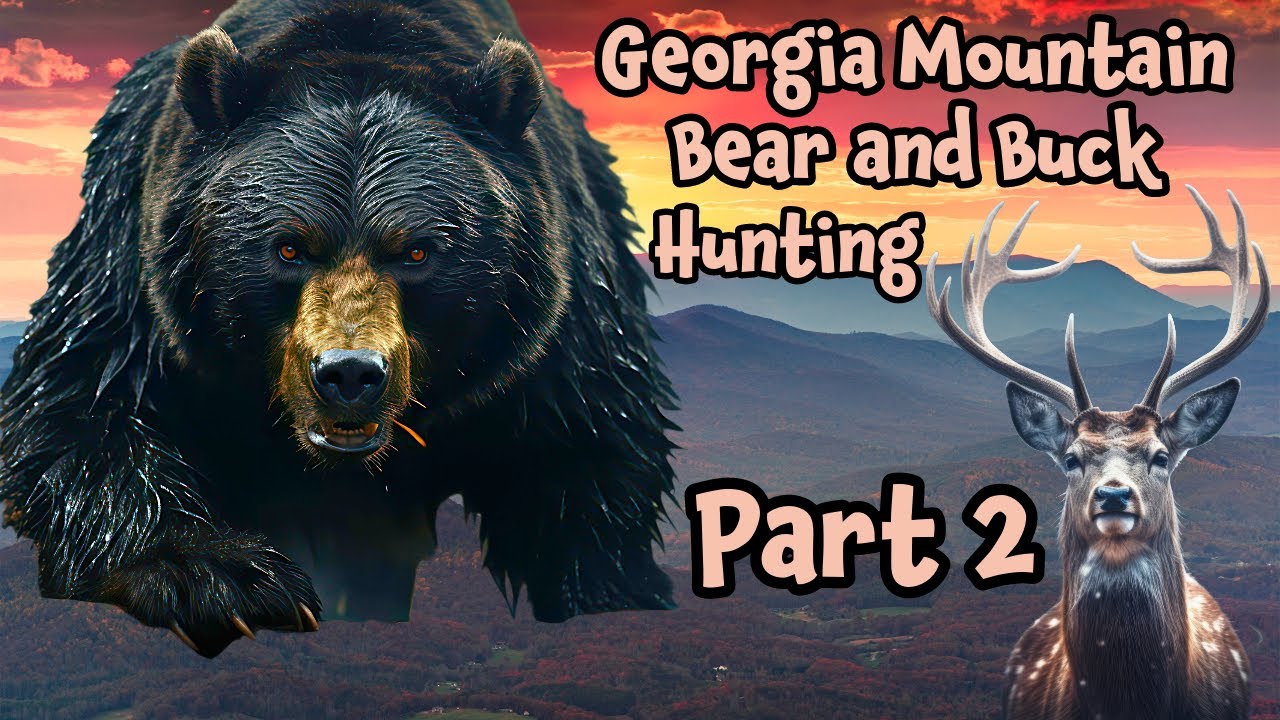 North Georgia Bear and Buck Hunting Part 2 - YouTube