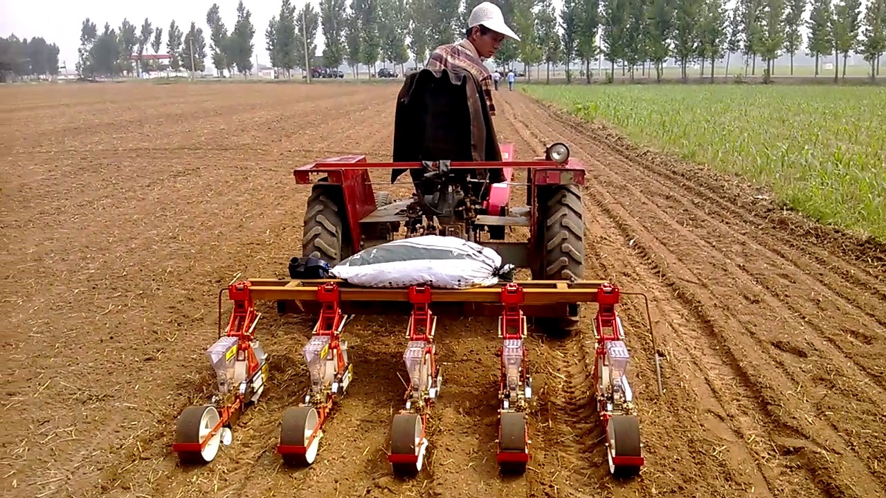 vegetable onion carrot seeder Working Video - YouTube