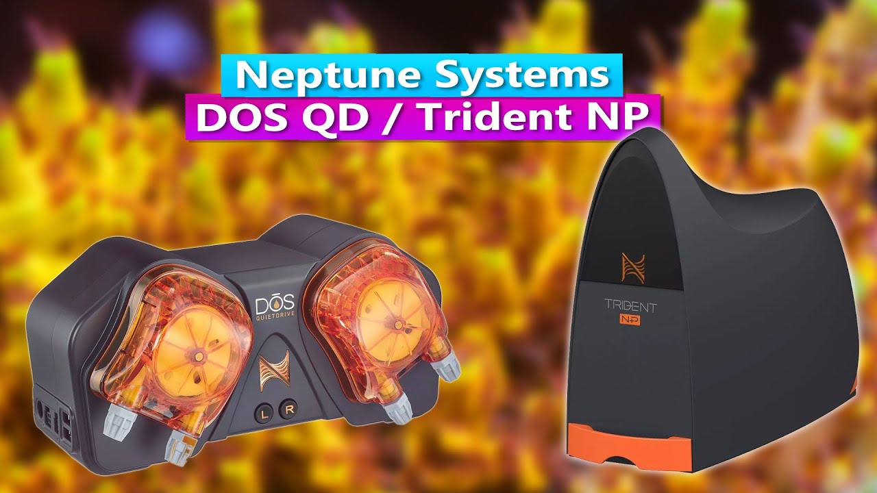 Neptune Systems DOS QD, Trident NP with Paul from Neptune - YouTube
