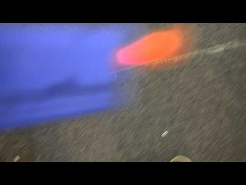FAKE - Shooting a Dog The Ending