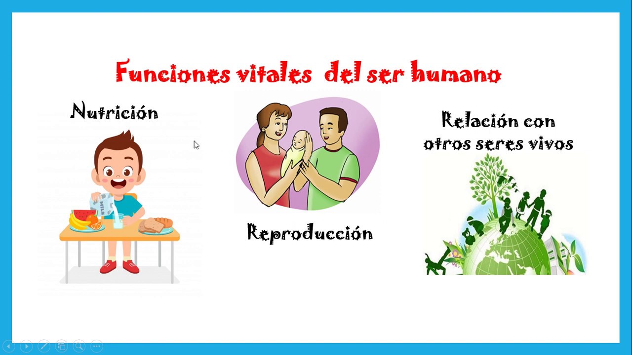 CaracterÍsticas Del Ser Humano 3° Youtube