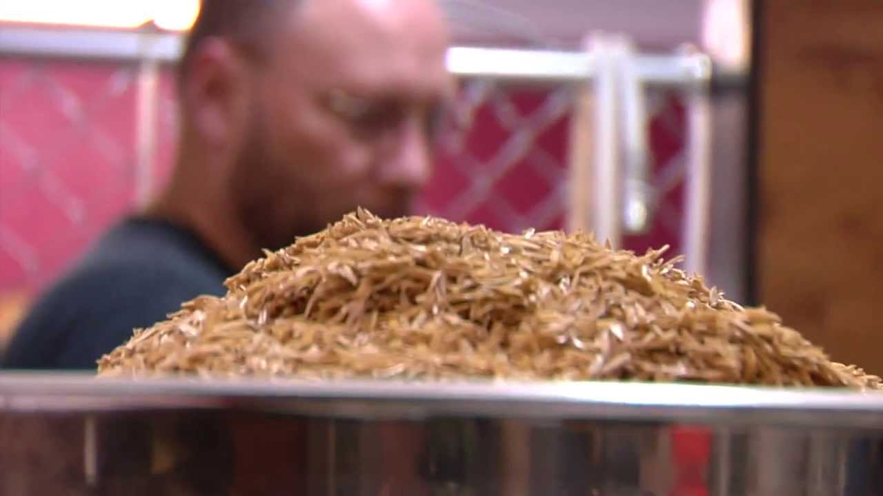 "Beer Hound Brewery" Promo/Teaser Vid - YouTube