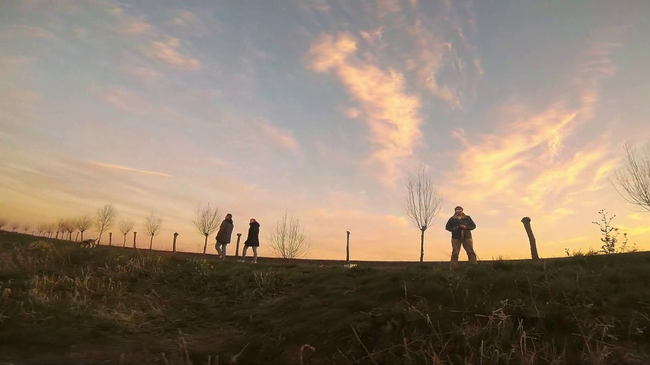 The Howling - YouTube