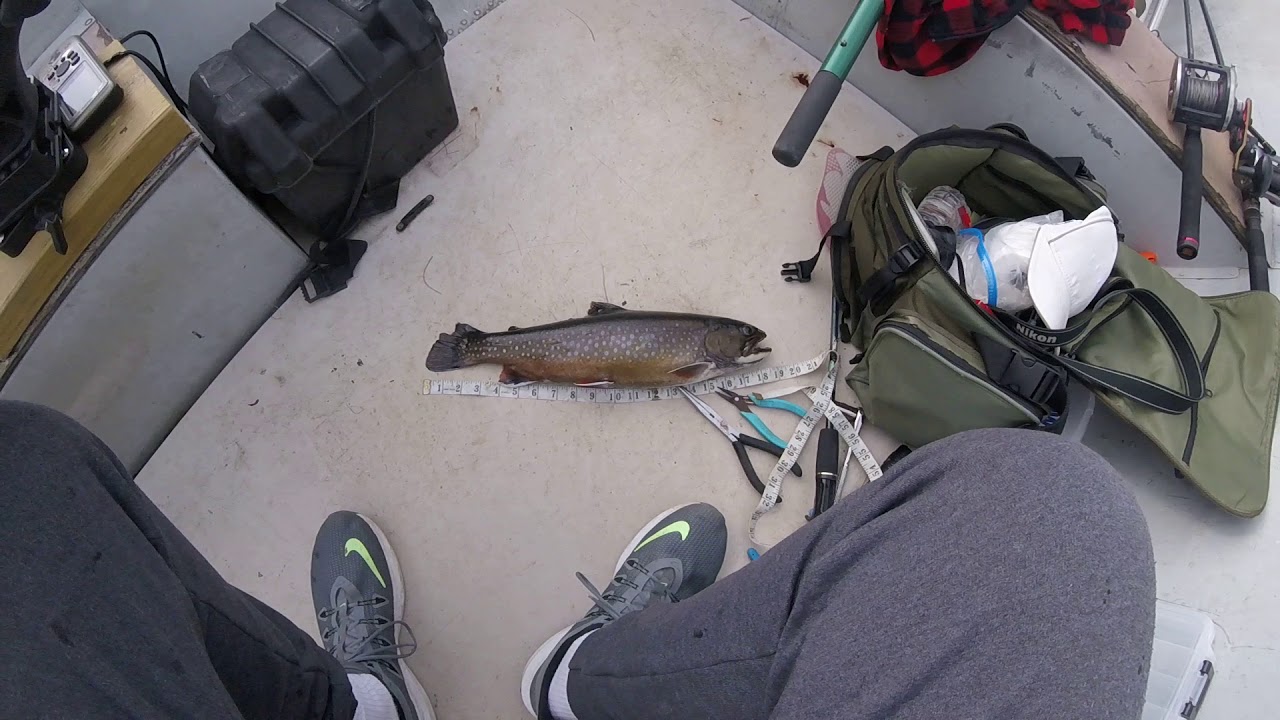 Nice 19 Inch Brook Trout With gopro Equipment failure - YouTube