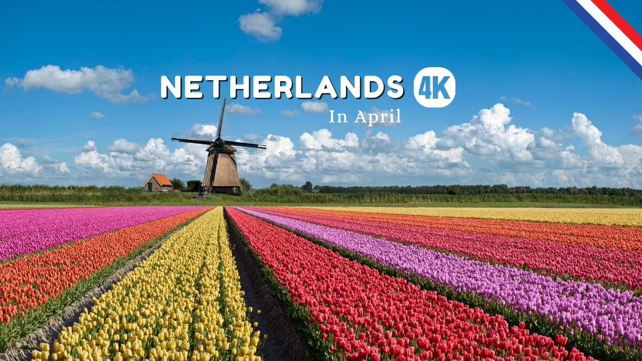 Netherlands in April 4K Ultra HD | Tulip Fields, Windmills & Spring ...