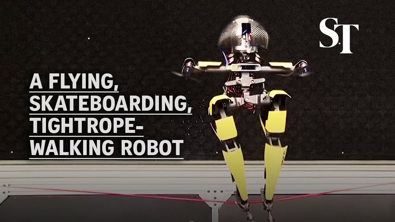 A flying, skateboarding , tightrope-walking robot - YouTube