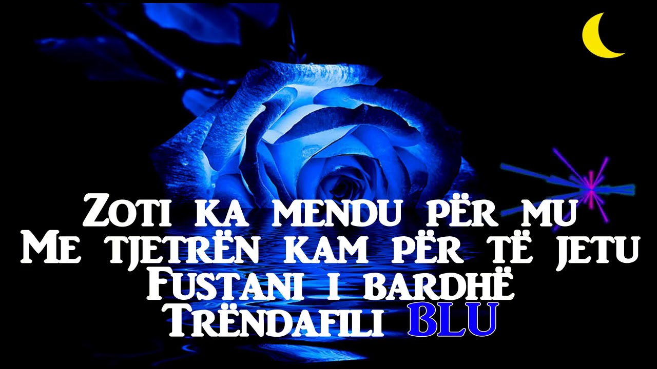 Loli Loka & loli loka Trendafili blu Official Lyrics Video - YouTube