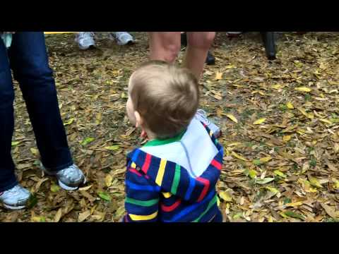 Sam in Diaper run