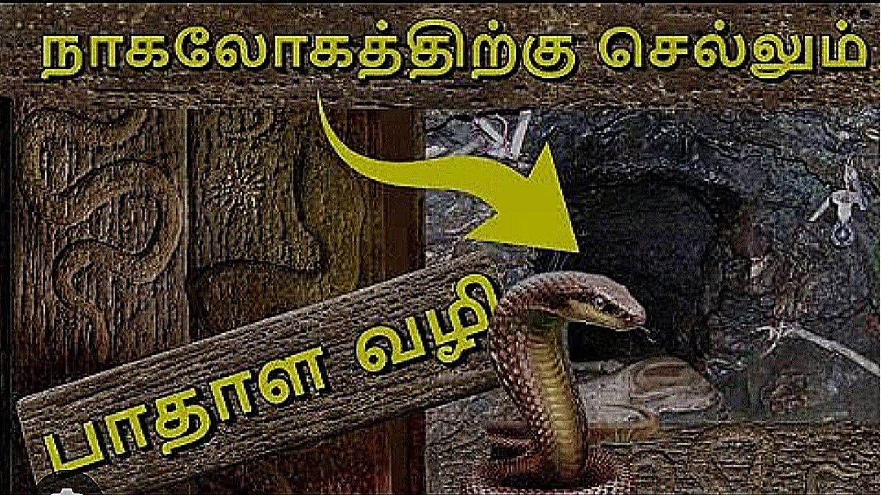 நாகலோகம்🐍செல்லும் பாதாள வழி கண்டுபிடிக்கப்பட்டது! Nagaloka tamil ...