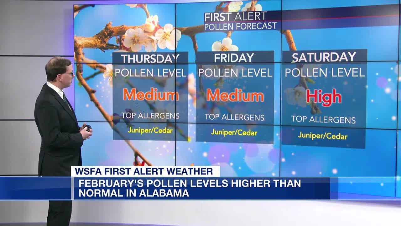 February's pollen levels higher than normal in Alabama - YouTube