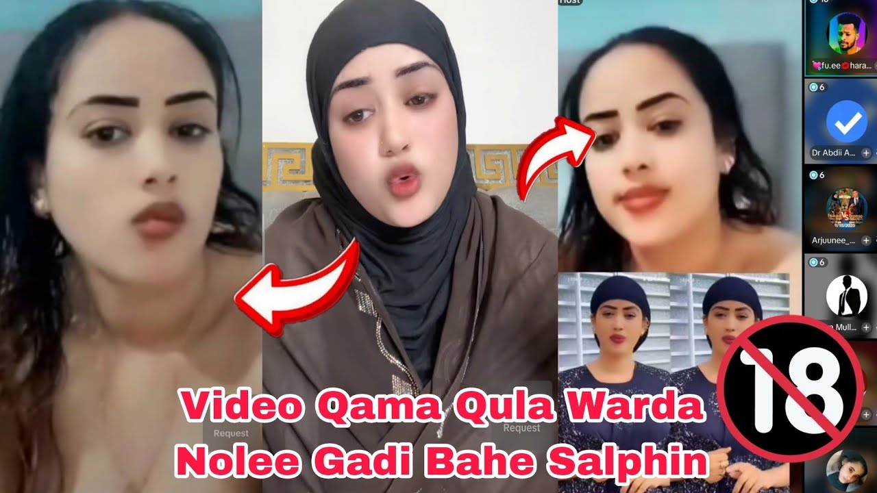 Uuff Salphin Warda Nolee Dabon Gadi Bate Ams Bara Akam Keessa jira - YouTube