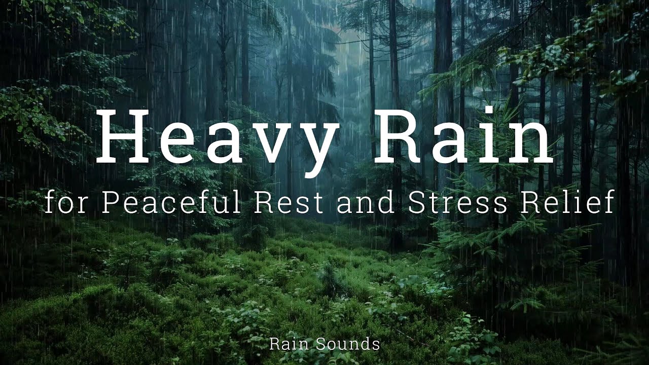 Heavy Rain for Peaceful Rest and Stress Relief | Relaxation and Sleep ...