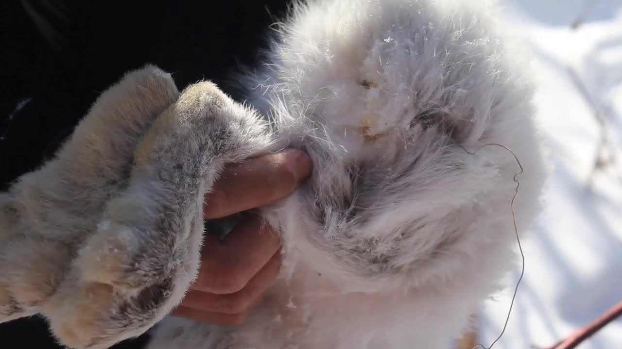 Respect - Keewaywin First Nation Digital Series Season 1 Episode 6 ...