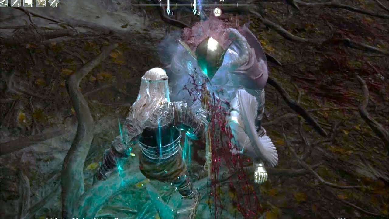 Day 65 Of Beating Malenia With A Different Build Until DLC Is Released ...