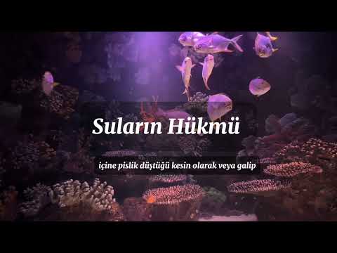 Suların Hükmü.