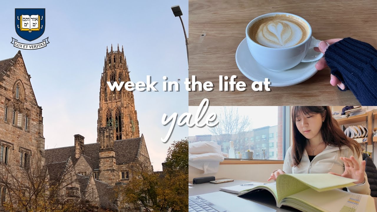 week in the life at yale 🧸🫧 | 예일대 브이로그 - YouTube