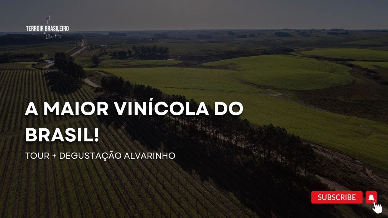 A Maior Vinícola do Brasil? Tour Completo pela Almaden + Degustação do ...