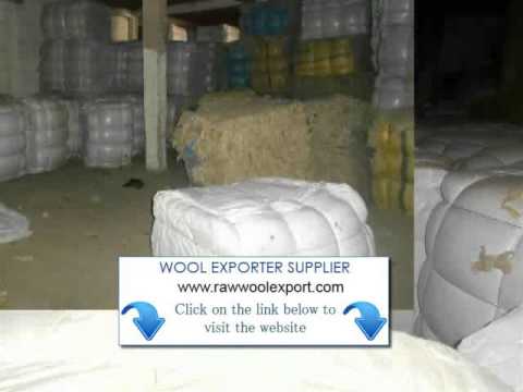 Uruguayan Tannery wool Exporter - YouTube