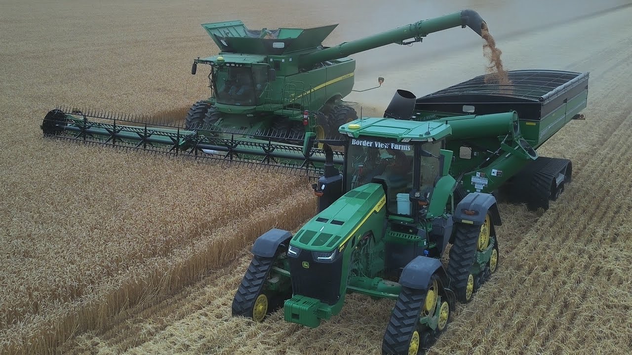 Big Day Harvesting Wheat and Planting Double Crop Beans! - YouTube