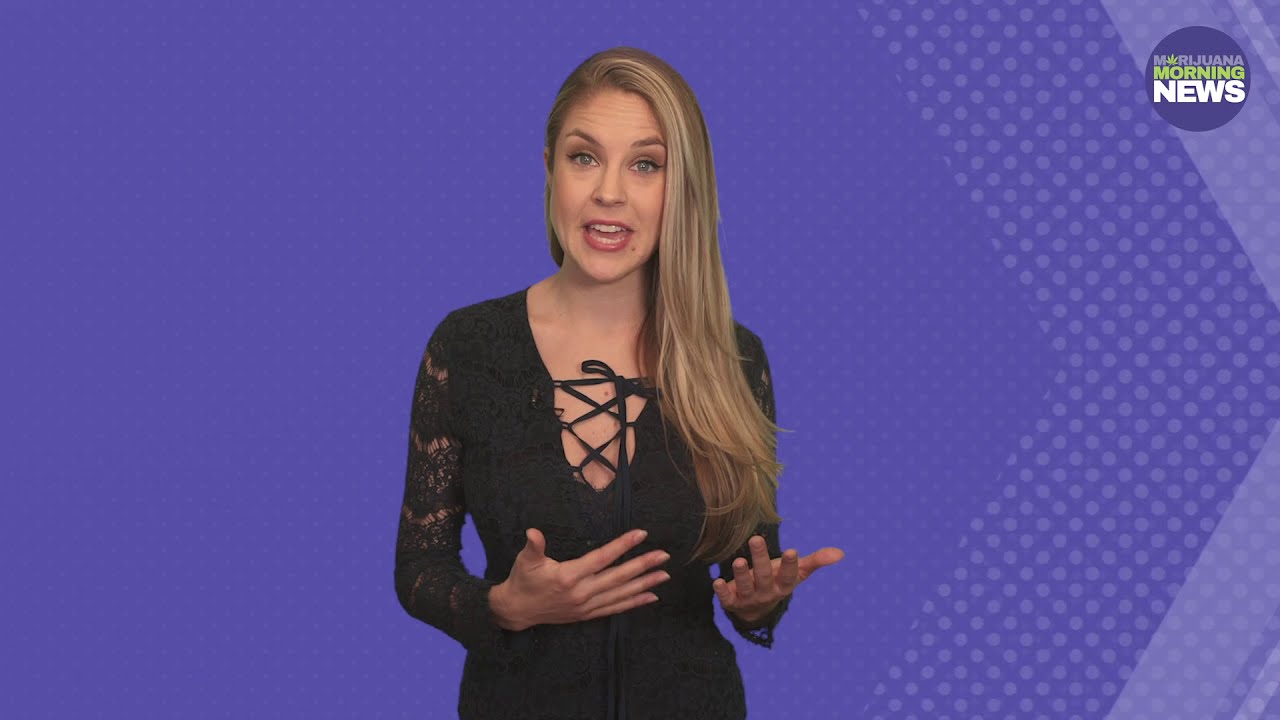 Cannabis 101 Course - Morning Marijuana News - YouTube