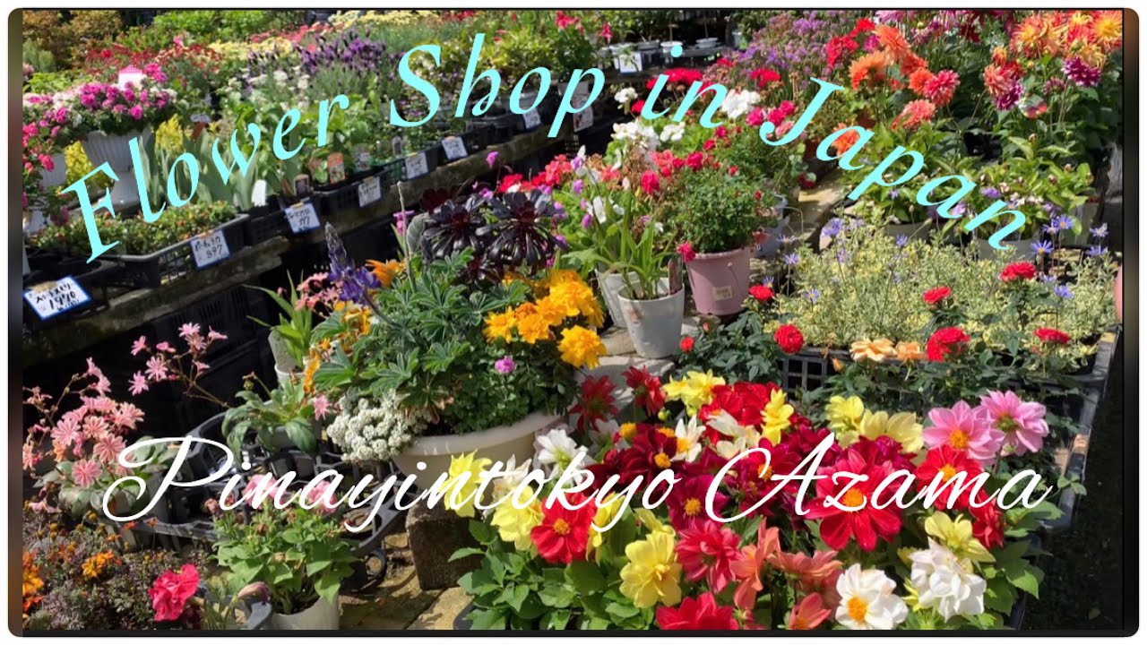 Heaven for Plantitas in Japan / Japan flowers & vegetables shop. - YouTube
