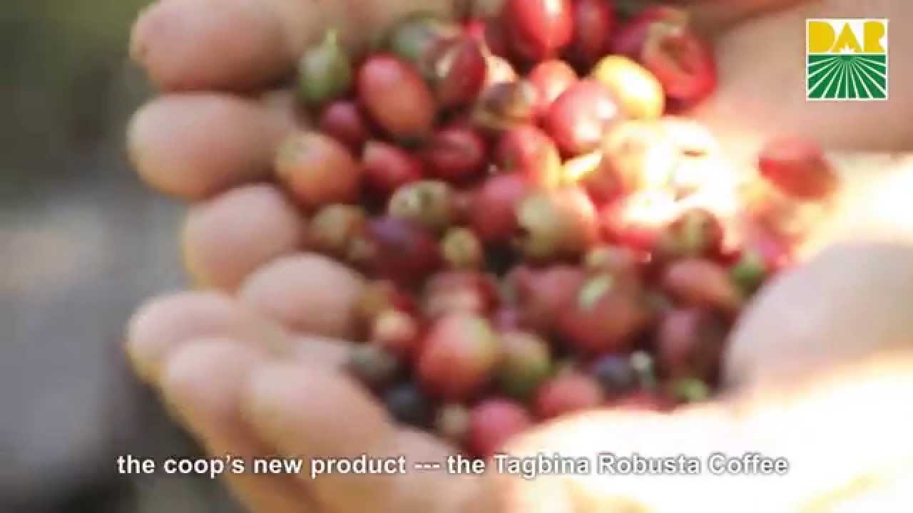 KWENTONG AGRARYO - TAGBINA COFFEE - YouTube