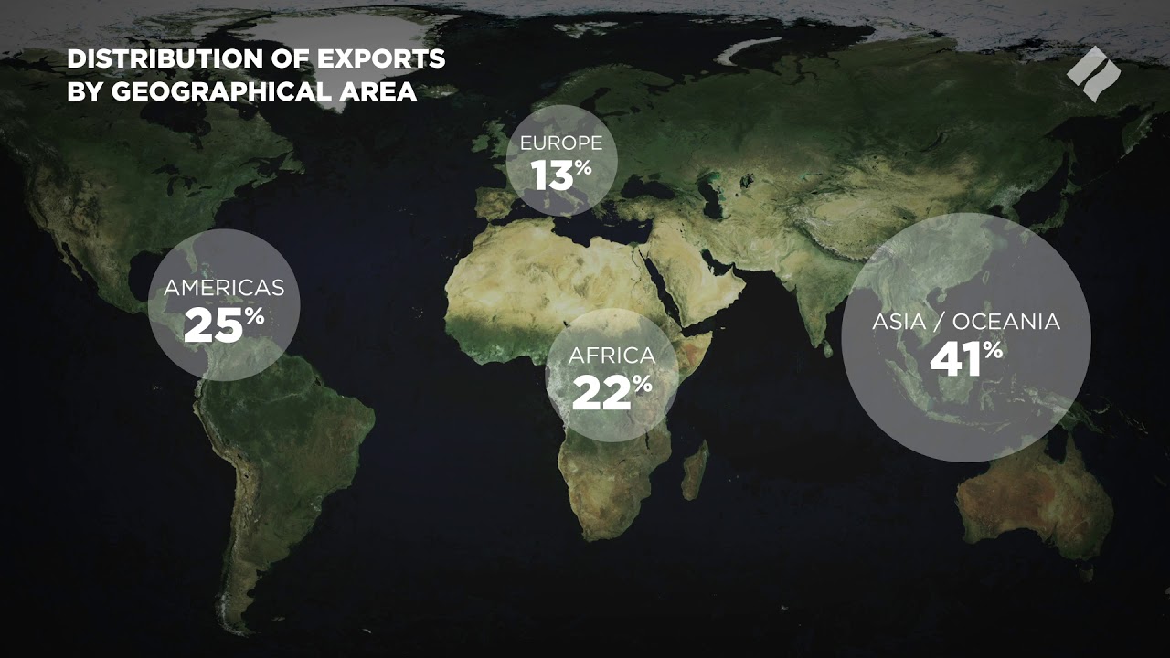 2018 Throughtput - The fastest-growing port in Western Europe - YouTube