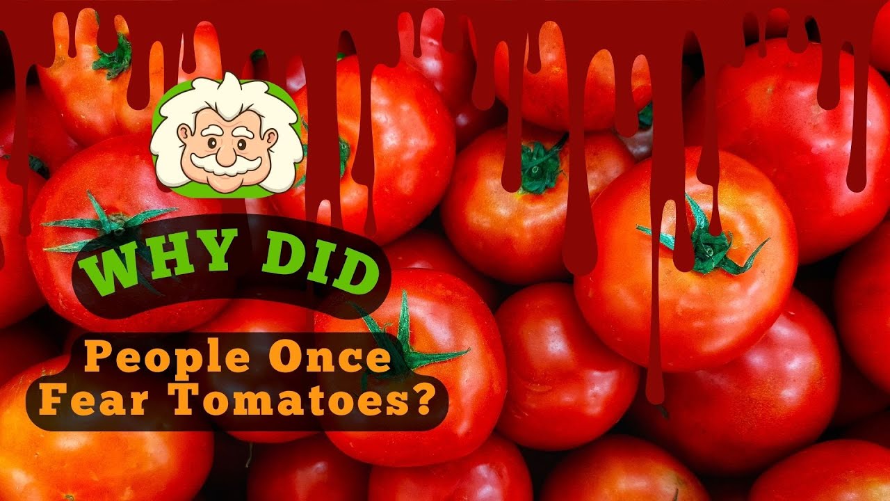 Why Did People Once Fear Tomatoes? - YouTube