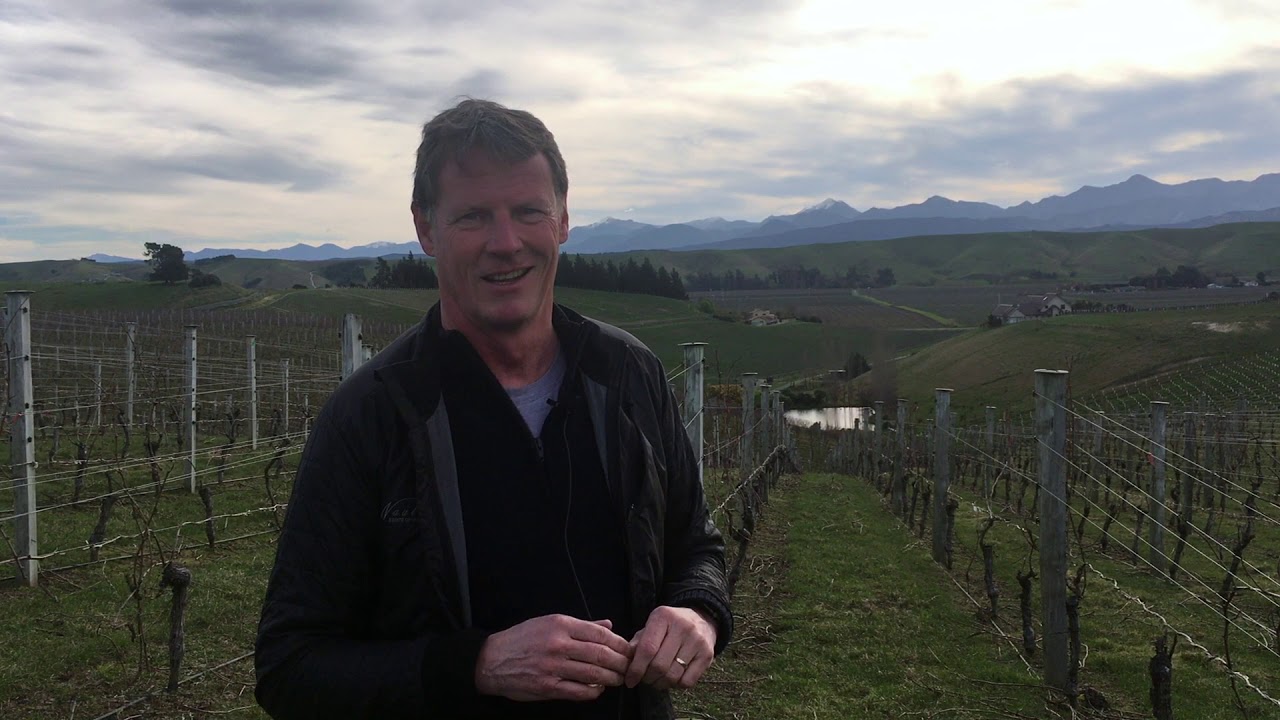 Marlborough wine regions: Awatere valley, Wairau valley and southern ...