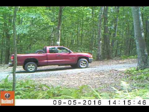 Unfriendly Neighbor Greatest Video Hits for September 2016 week 2 - #8 ...