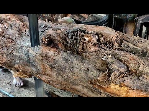 wow..only the outer skin is damaged..the best wood..