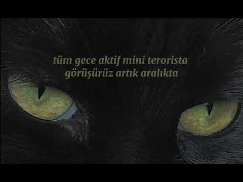 Mini Terorista 'SpeedUp' - Jeff Redd