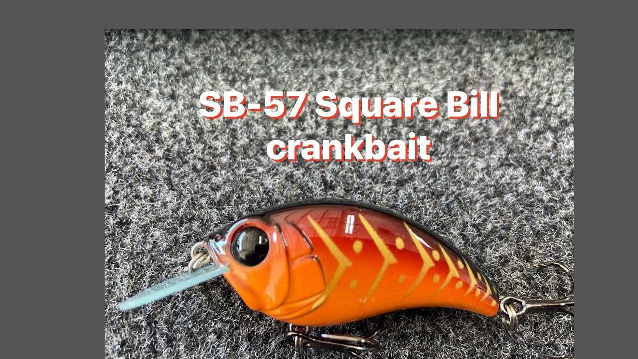 Bill Lewis SB-57 Square Bill Crankbait | #bassfishing, #crankbaits, # ...