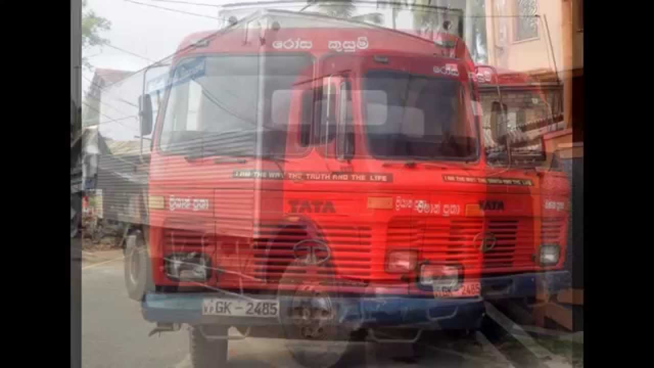 TATA 1313 Lorry for sale or Rent (www.watapita.lk) - YouTube