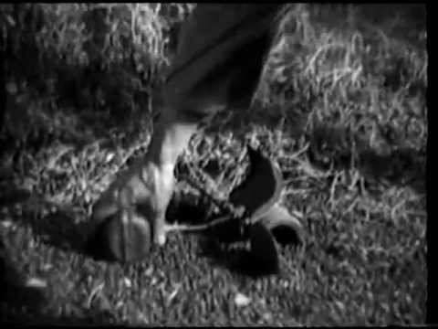 The Butterfly Bomb 4-lb Fragmentation Bomb M83 - YouTube