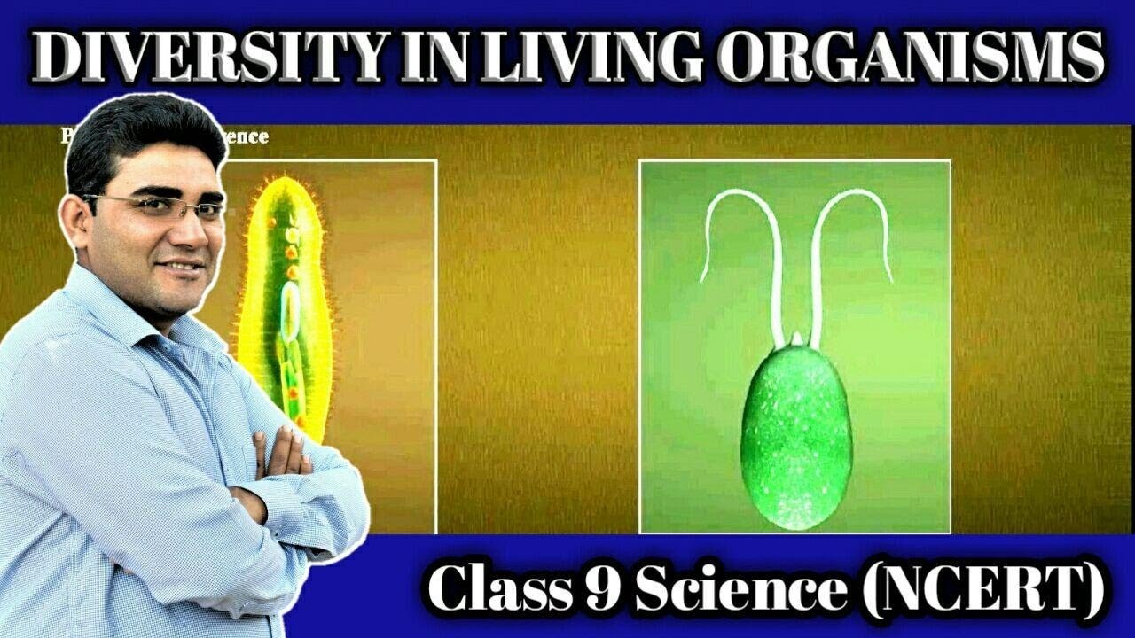 Diversity in Living Organism Part-3 | CBSE Class IX Science (Biology) Chapter 7 | NCERT ...