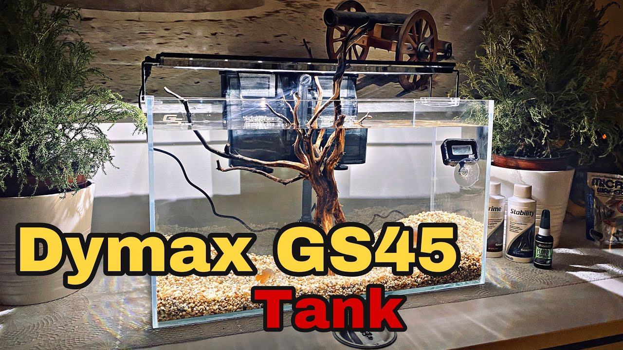 Dymax GS45 Aquarium - YouTube