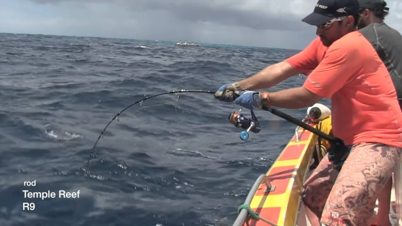 TEMPLE REEF R9 Jigging Rod vs GT - YouTube