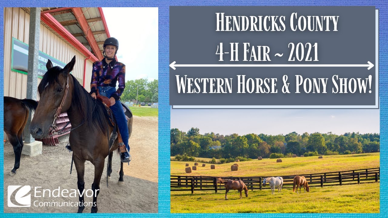 Hendricks County Fair Western Horse and Pony Show 2021 - YouTube