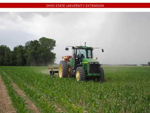 Bruce Clevenger, John Rethmel - Interseeding Cover Crops Into Corn And ...