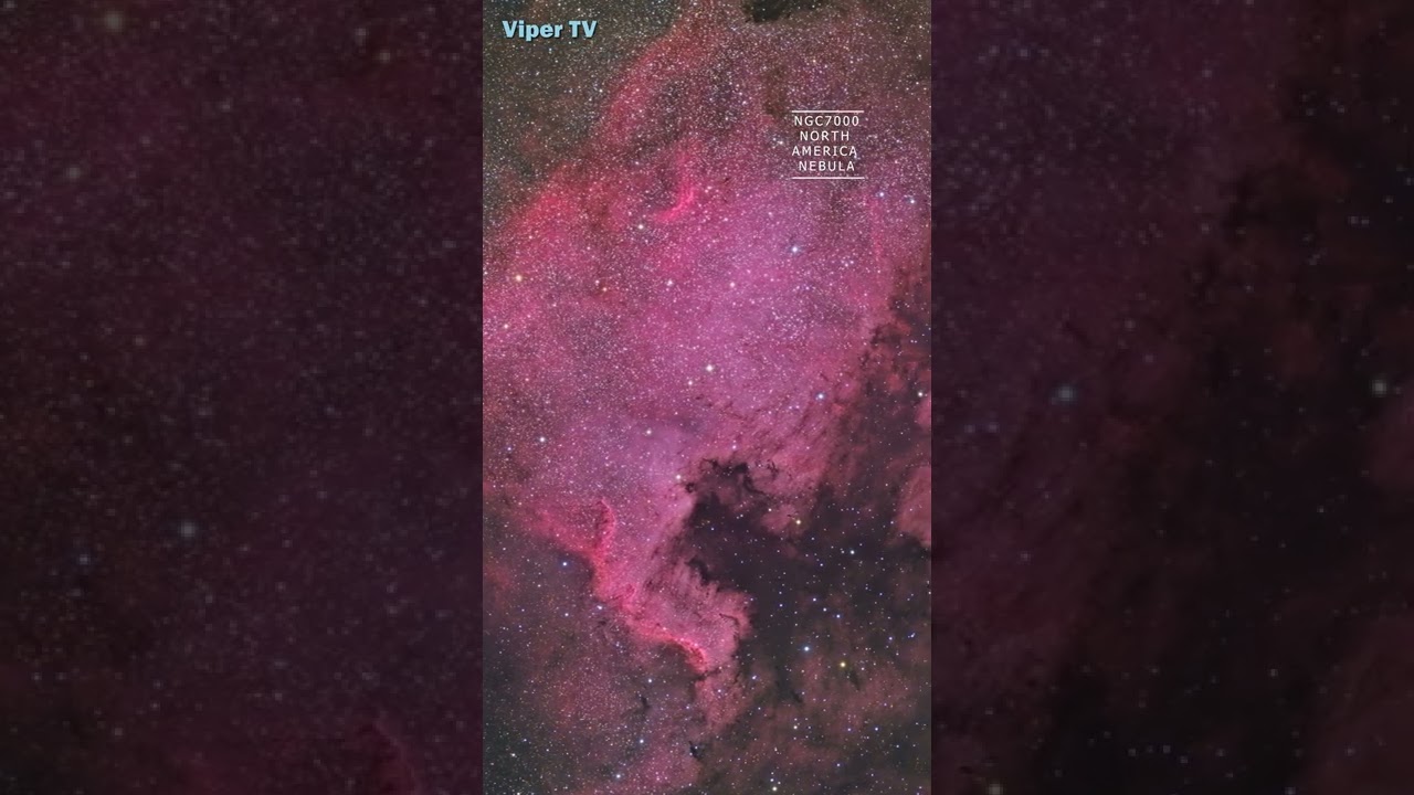 NGC7000 Carl Sagan, Comprehensive Survey of Hundreds of Stars is ...