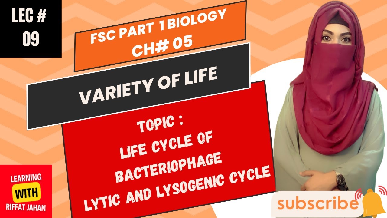 Ch#05 | Variety of Life | Life Cycle of Bacteriophage | Lytic And ...