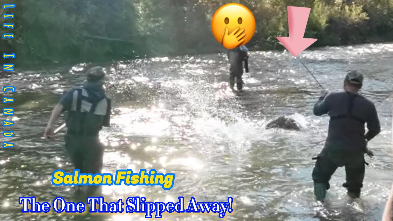 Salmon Fishing! The One That Slipped Away! 🎣 #fishing #shortsvideo # ...