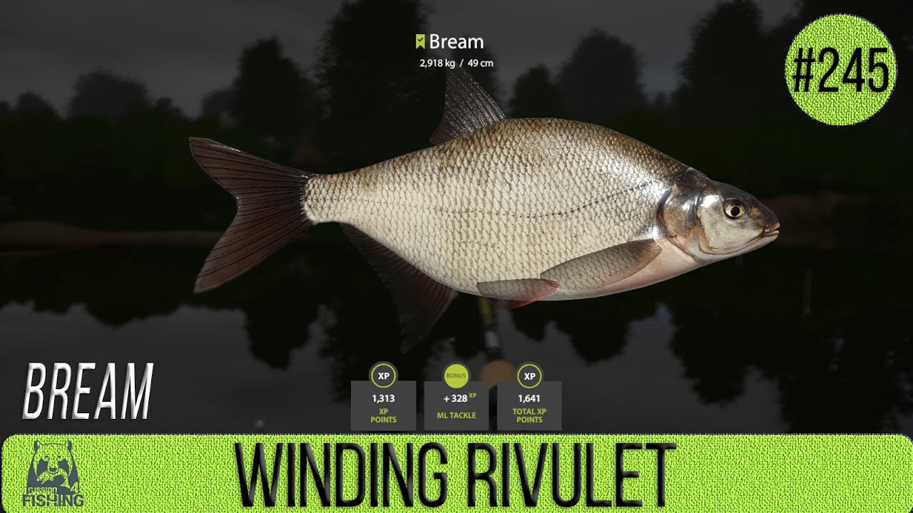 Russian Fishing 4 - Winding Rivulet - Bream - #245 - YouTube