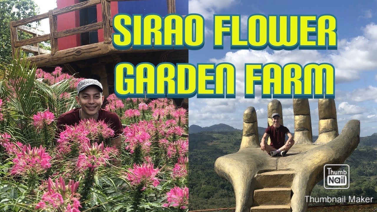Sirao Flower Garden Farm - Cebu - YouTube