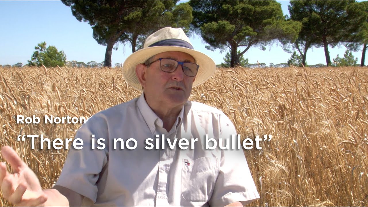 Rob Norton: Rob’s biggest lesson - YouTube